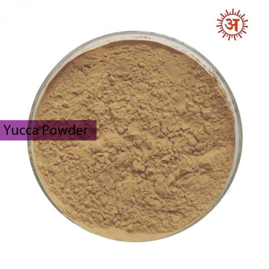 Yucca Powder Supplier